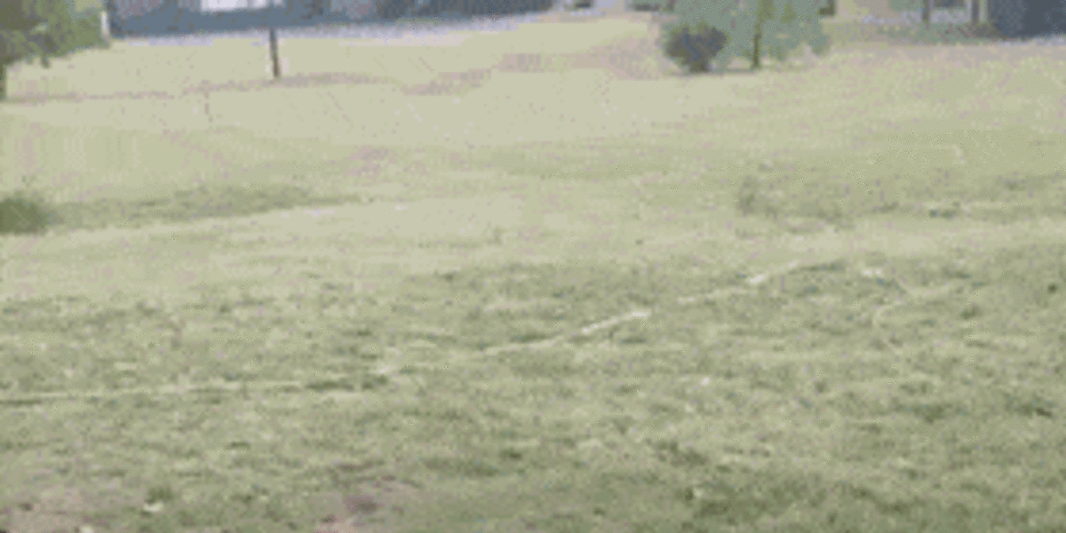 Agora Ninguém Se Machuca - Não Intendo