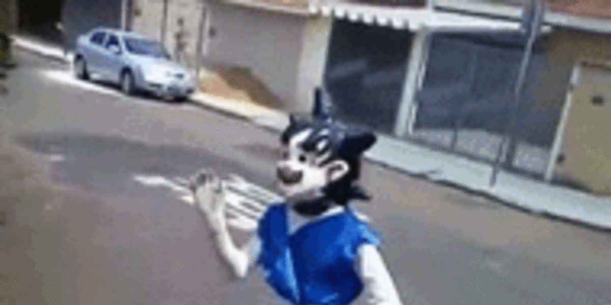 Goku Do Arrocha - Não Intendo