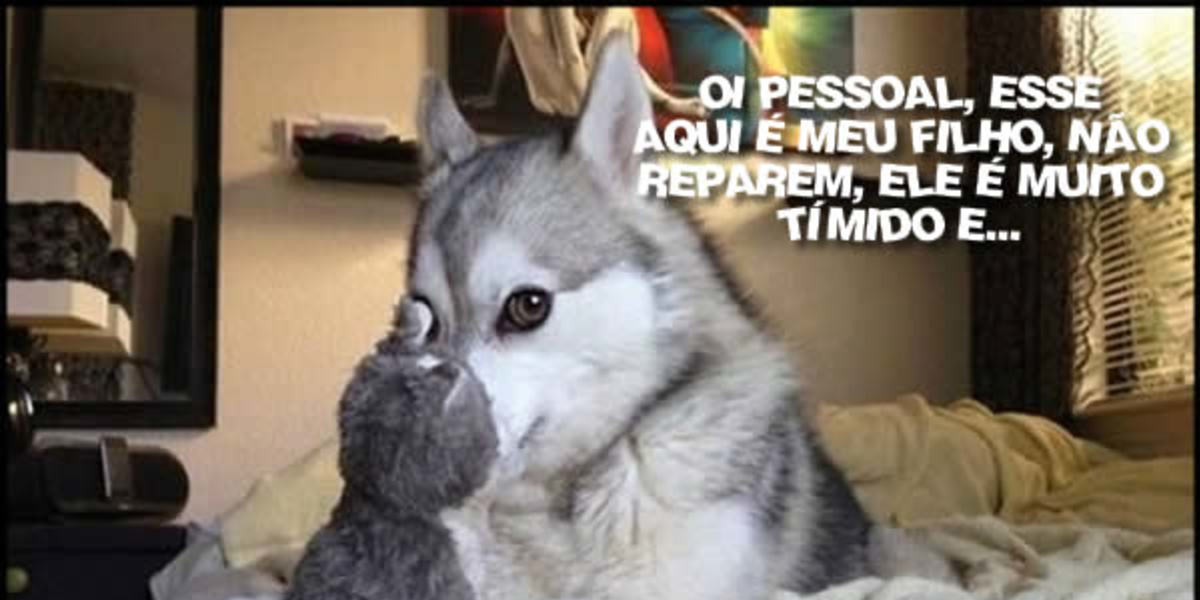 Esse é Meu Filho Não Intendo